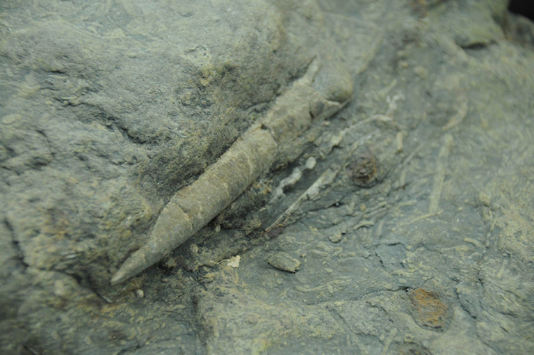 Isle of Mull Cottages Top Tips for Stargazing and Treasure Hunting on ...