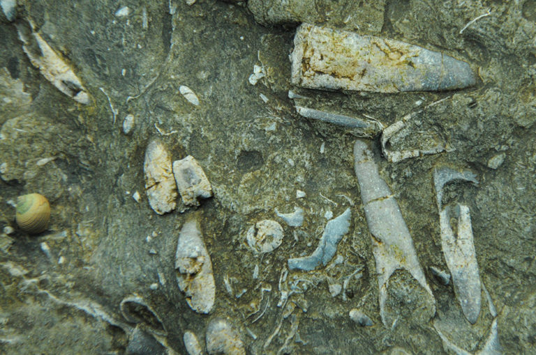 Isle of Mull Cottages Top Tips for Stargazing and Treasure Hunting on ...