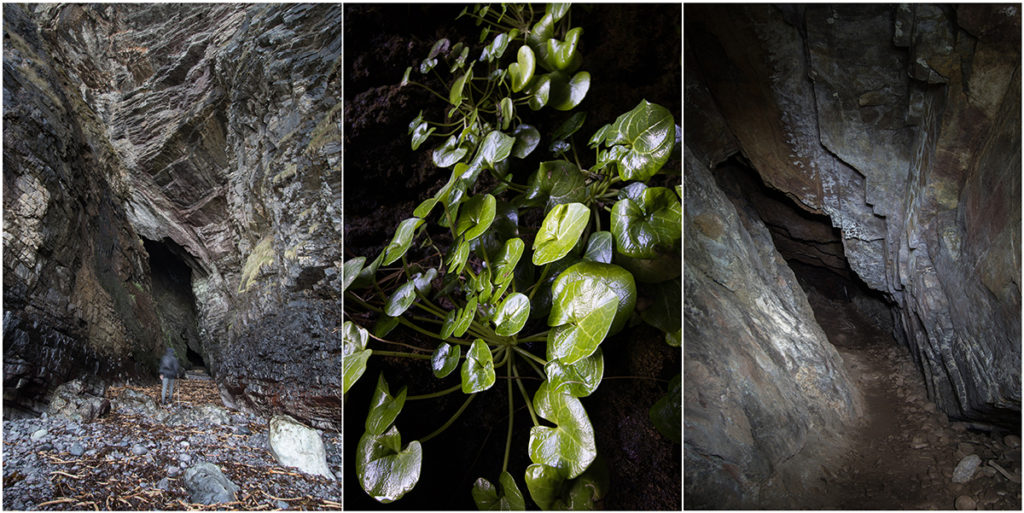 Isle of Mull Cottages A Guide To Visiting MacKinnon's Cave on Mull ...