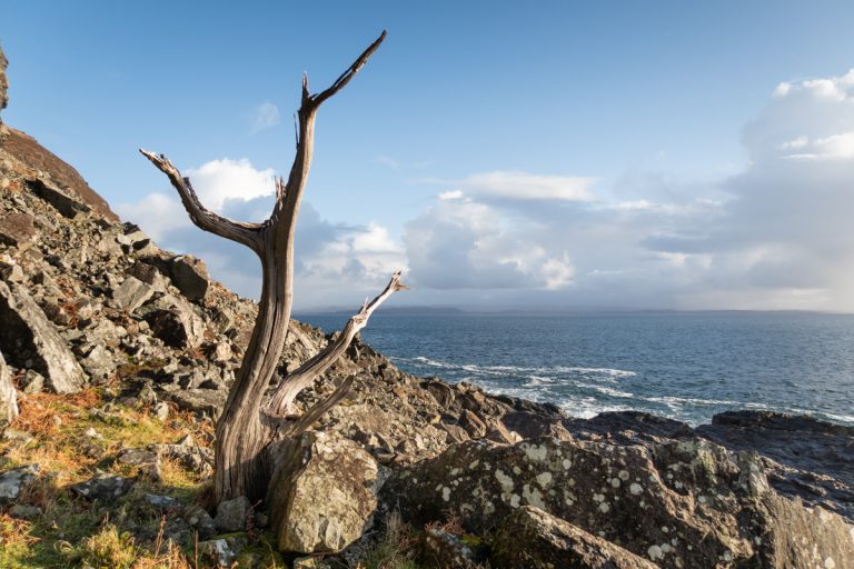 Isle of Mull Cottages Exploring one of Mull's most remote corners ...