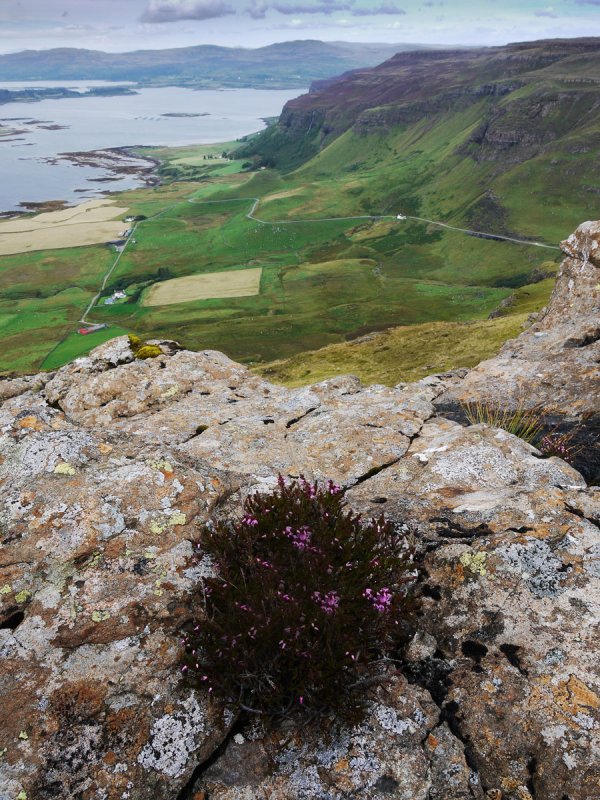 The Dorran self-catering cottage at Kilfinichen bay on the Isle of Mull